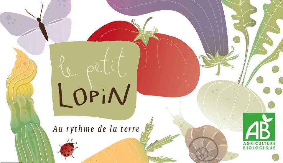 Le Petit Lopin – Maraichage bio – Morlanne sur la Place